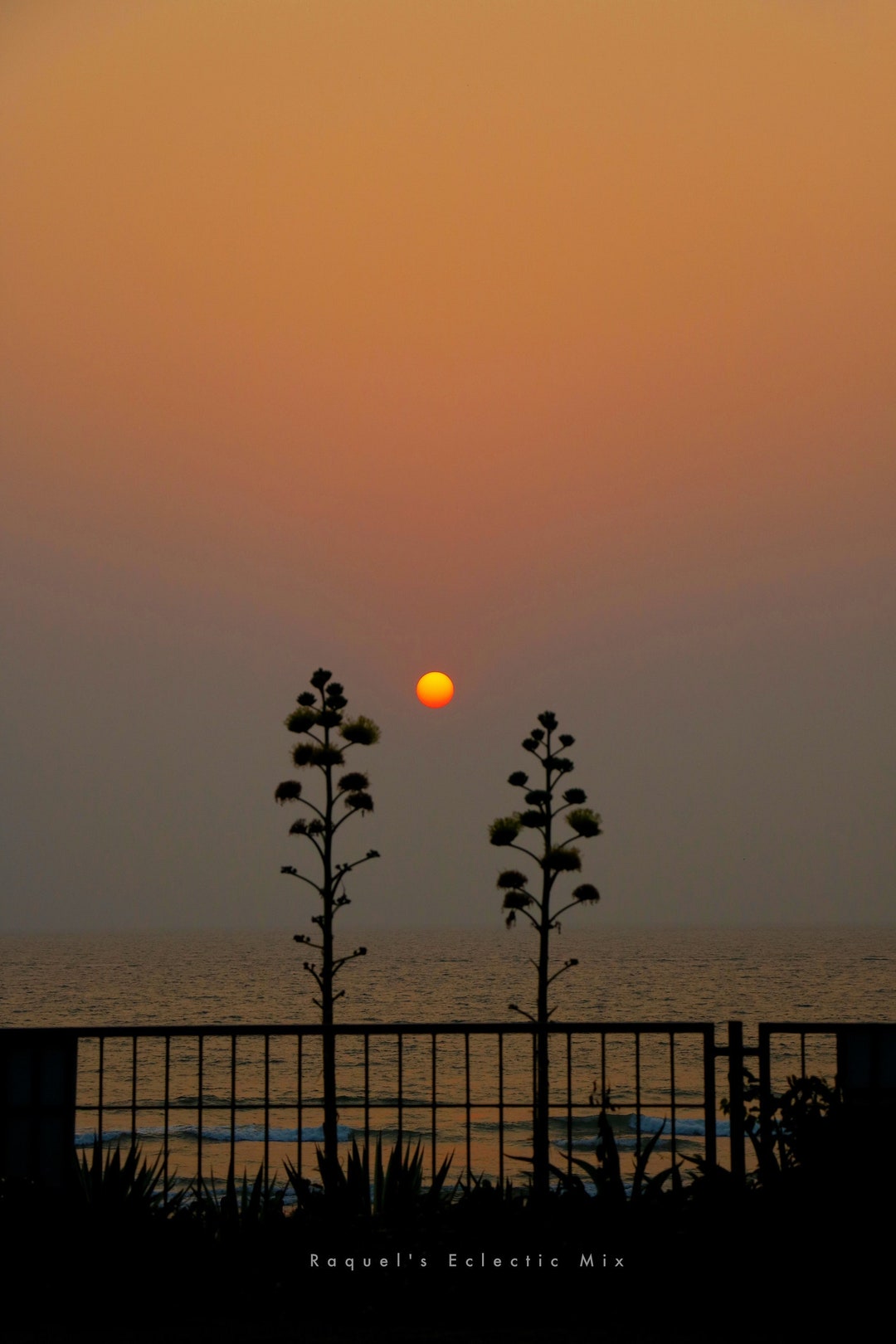 Hazy Goan Sunset, Sea, Plants, Tranquil Serenity, DIY Print, High ...