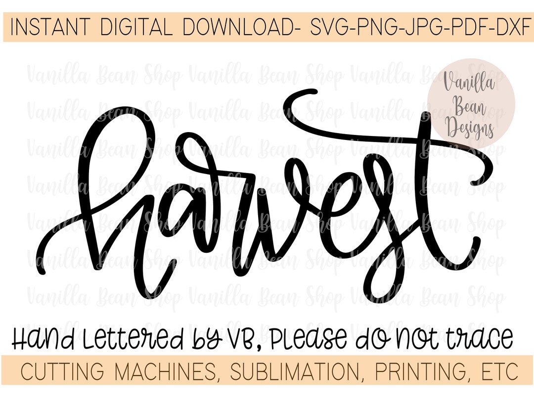 Harvest Svg | Harvest Png | Thanksgiving Svg | Thanksgiving Cut File ...