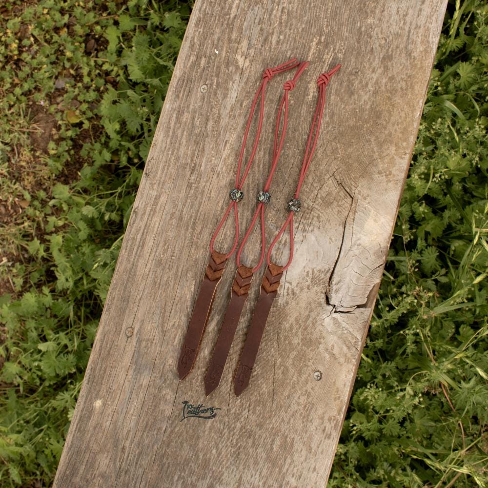 Rust Western Cactus Rope Bungee Strap - Etsy