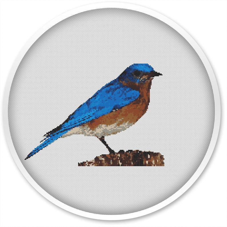 Bird Cross Stitch Pattern Pdf Instant Download Handmade - Etsy