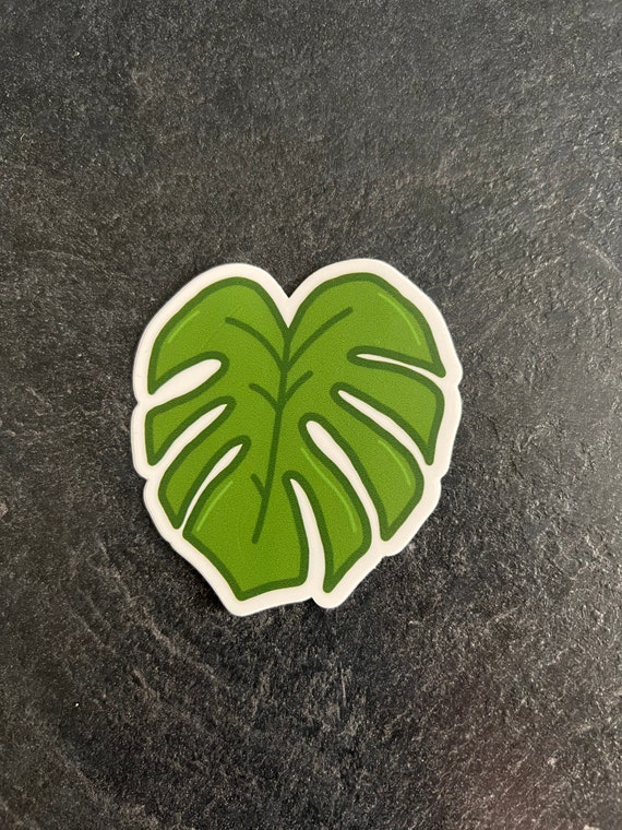 Monstera Sticker | Etsy
