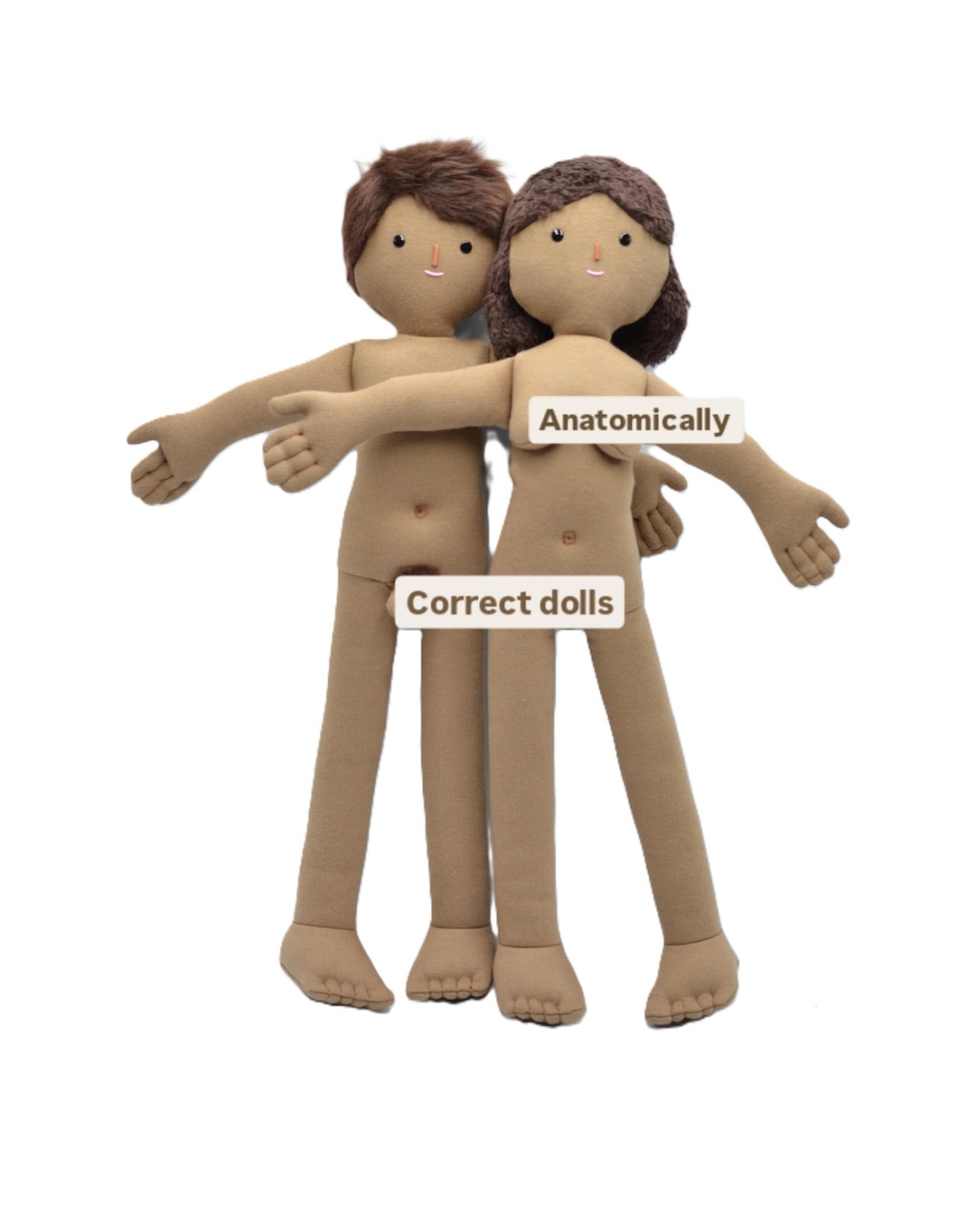 Anatomically Correct Dolls _ Family of 4 Educational Dolls With Private ...