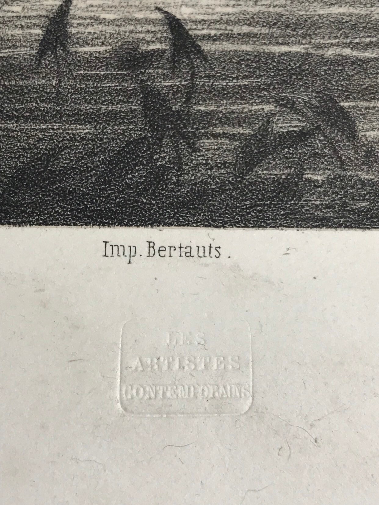 C.1850 French Engraving CATTLE Rosa Bonheur - Etsy