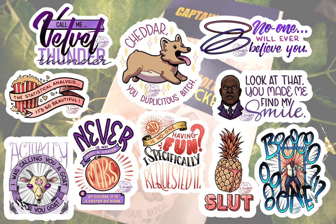 B99 Captain Raymond Holt Eco-friendly Pack of 10 Stickers - Etsy