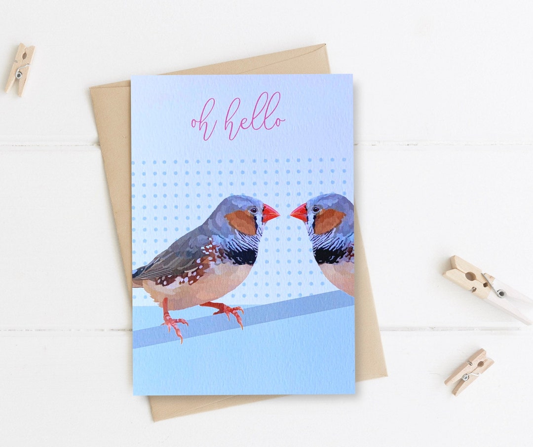 Zebra Finch Card Hello Card Isolation Card Lockdown Card Thinking of ...