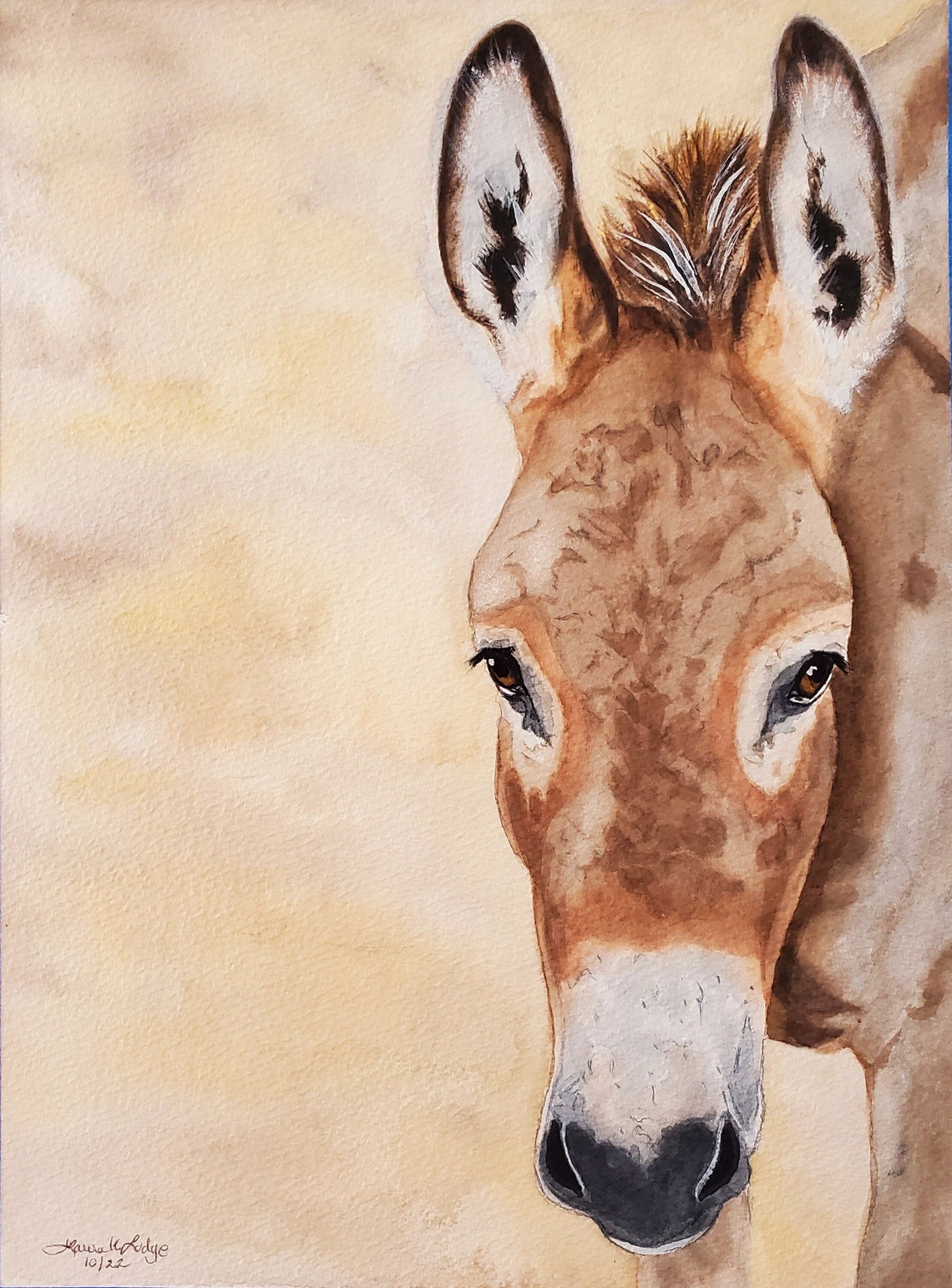 Original Watercolor Painting of a Donkey - Etsy