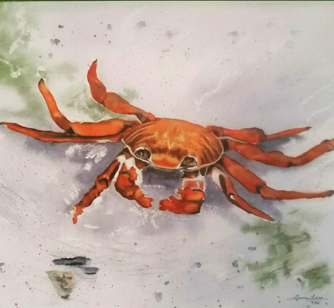 Original Watercolor Painting of a Crab "feeling Crabby" - Etsy