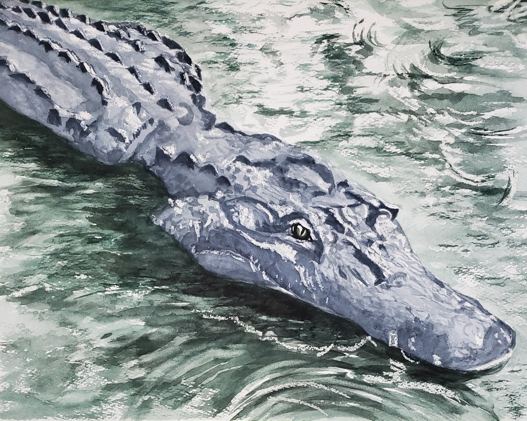 Original Watercolor of Alligator Swimming in Murky Waters, "drift of ...