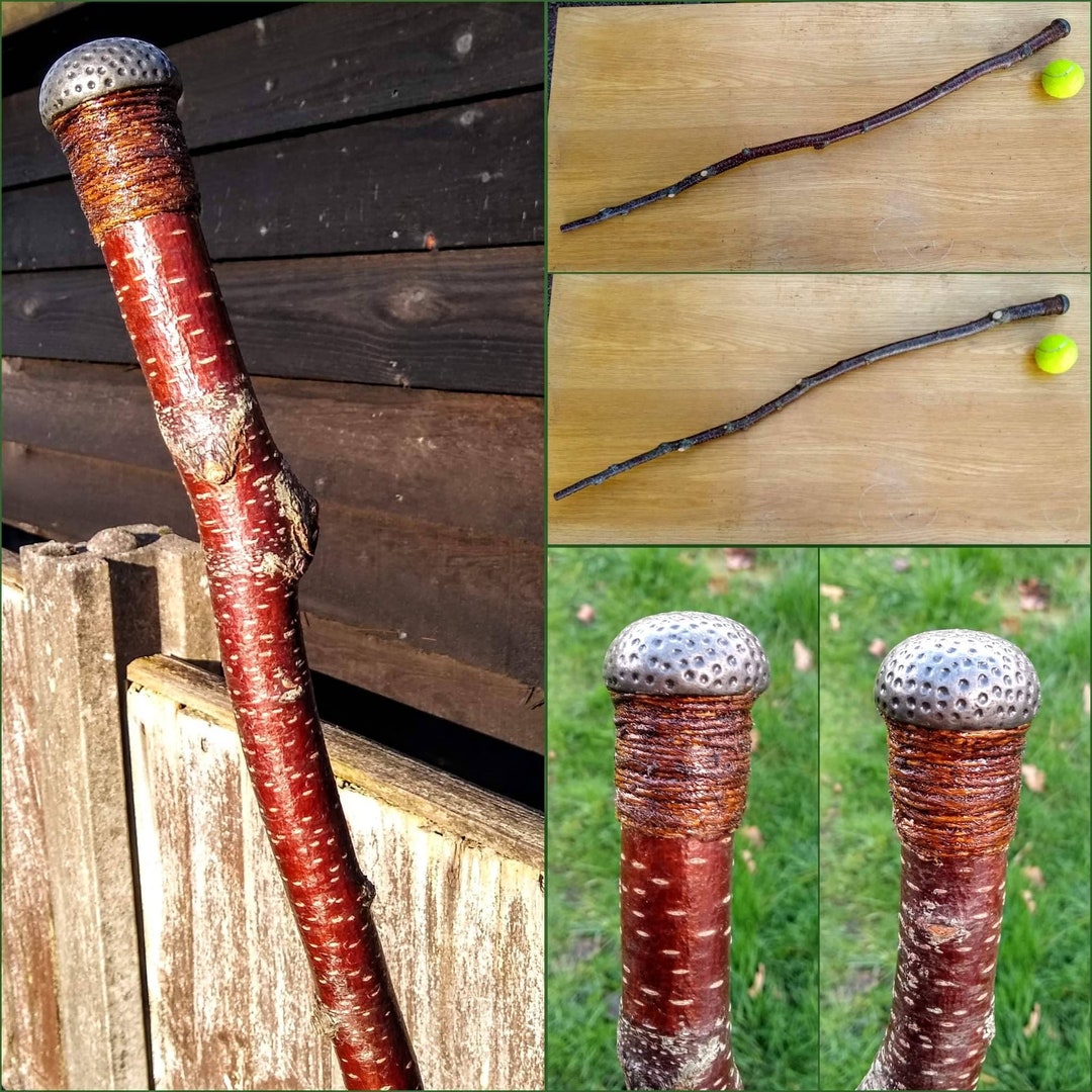 Gnarly Steel Head Walking Stick #3 - Etsy
