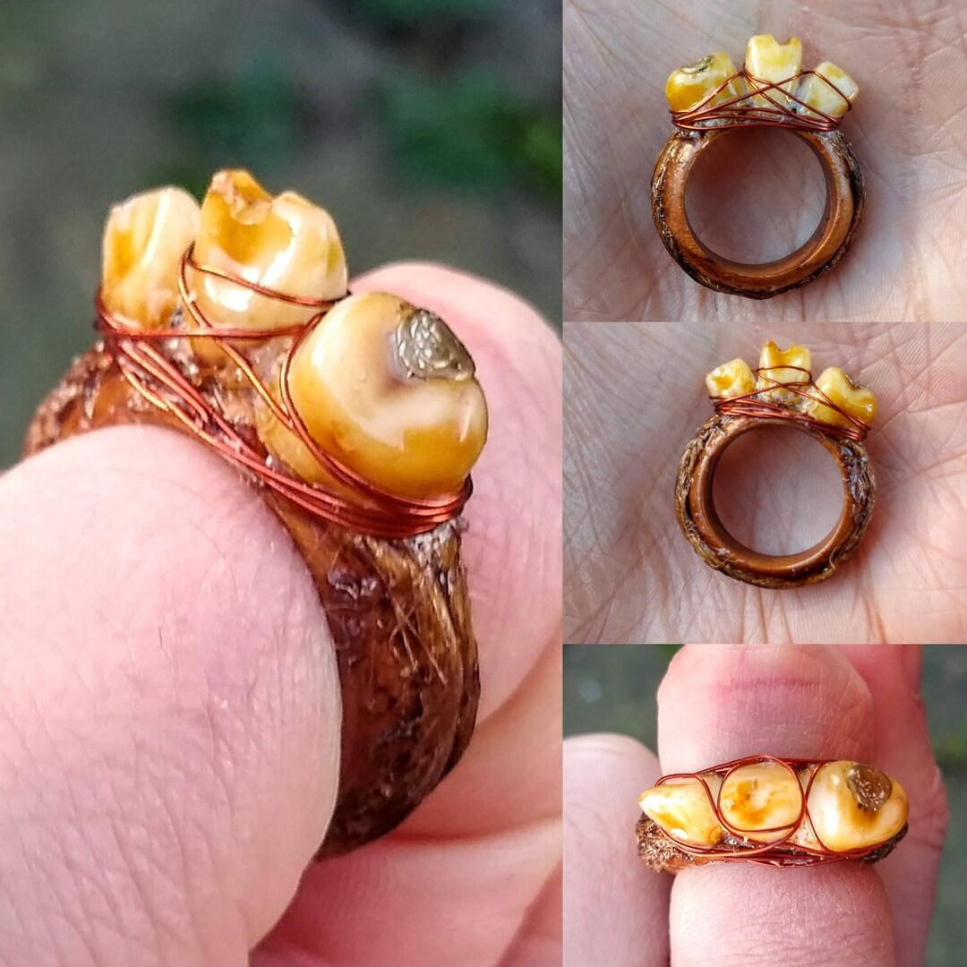 Post Apocalyptic Triple Tooth Ring. Size P.5 UK/8 Us/18mm - Etsy