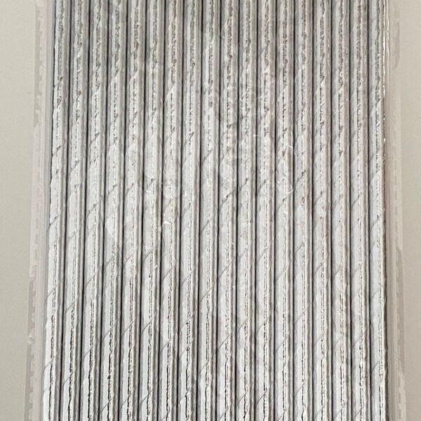 Silver Paper Straws - Etsy