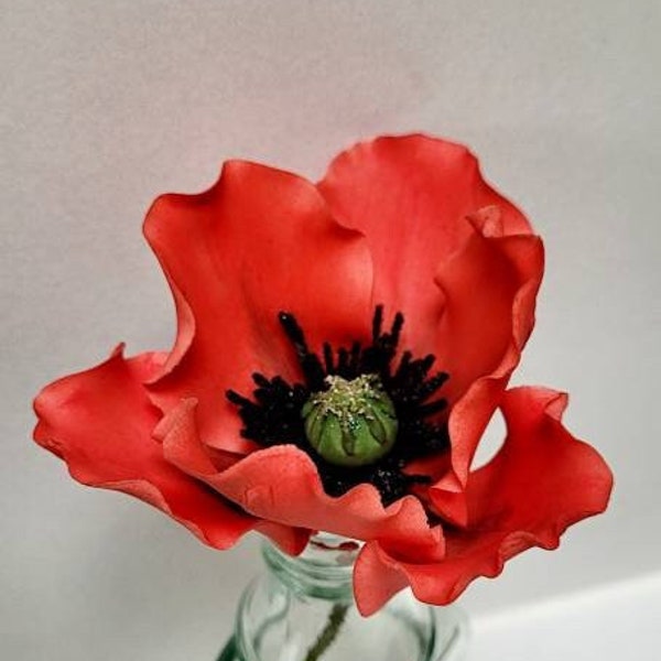 Poppy Flower - Etsy