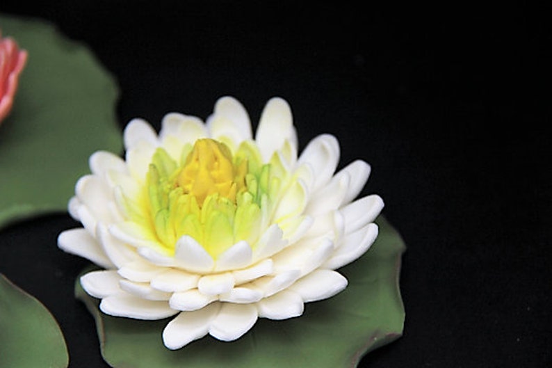 Water Lily Flowers Edible Custom Made. Gumpaste Flowers. | Etsy
