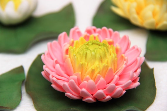Water Lily Flowers Edible Custom Made. Gumpaste Flowers. | Etsy