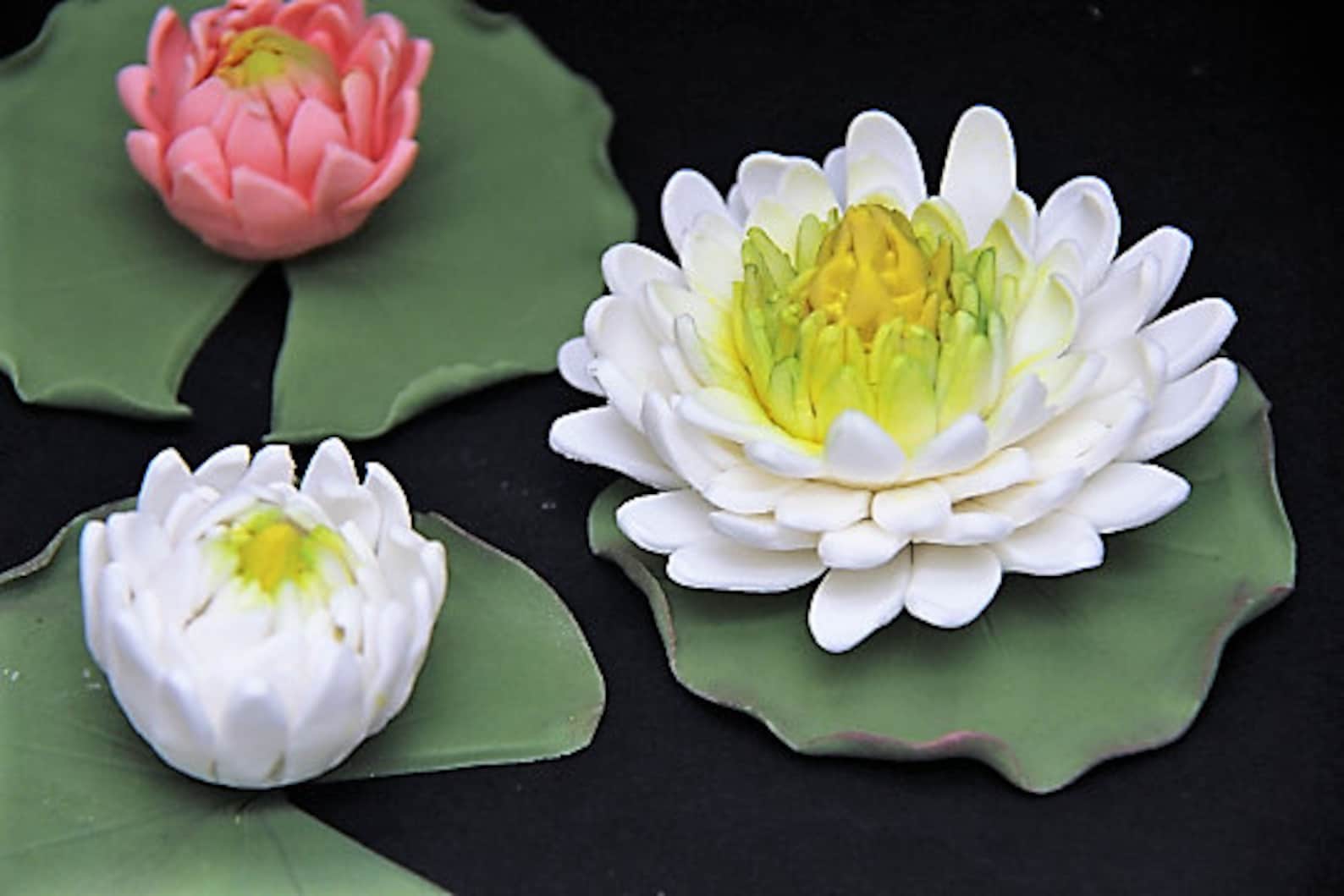 Water Lily Flowers Edible Custom Made. Gumpaste Flowers. | Etsy
