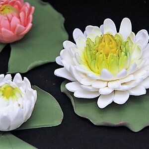 Water Lily Flowers Edible Custom Made. Gumpaste Flowers. - Etsy