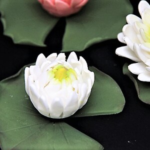 Water Lily Flowers Edible Custom Made. Gumpaste Flowers. - Etsy