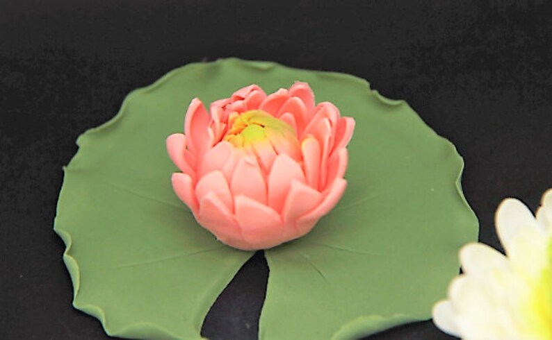 Water Lily Flowers Edible Custom Made. Gumpaste Flowers. | Etsy