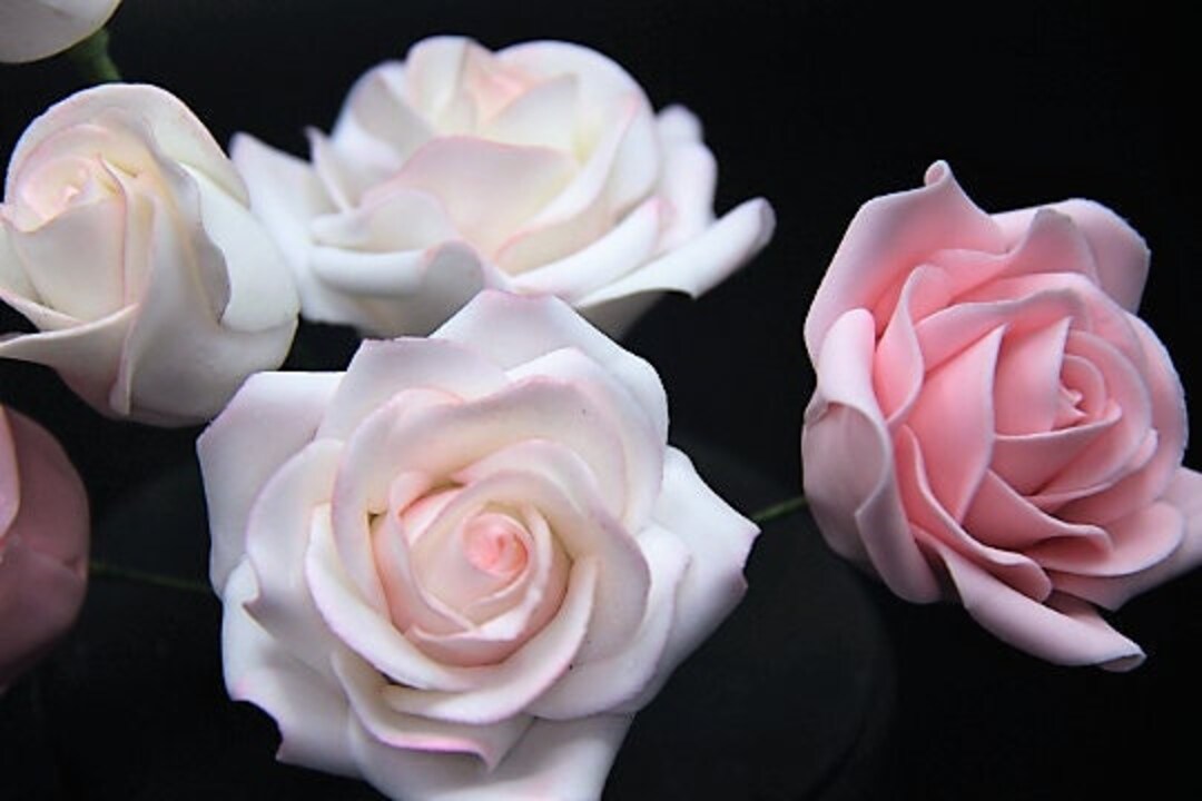 New Handmade Sugar Flowers... Sugar Rose. Gumpaste / Flower Paste ...