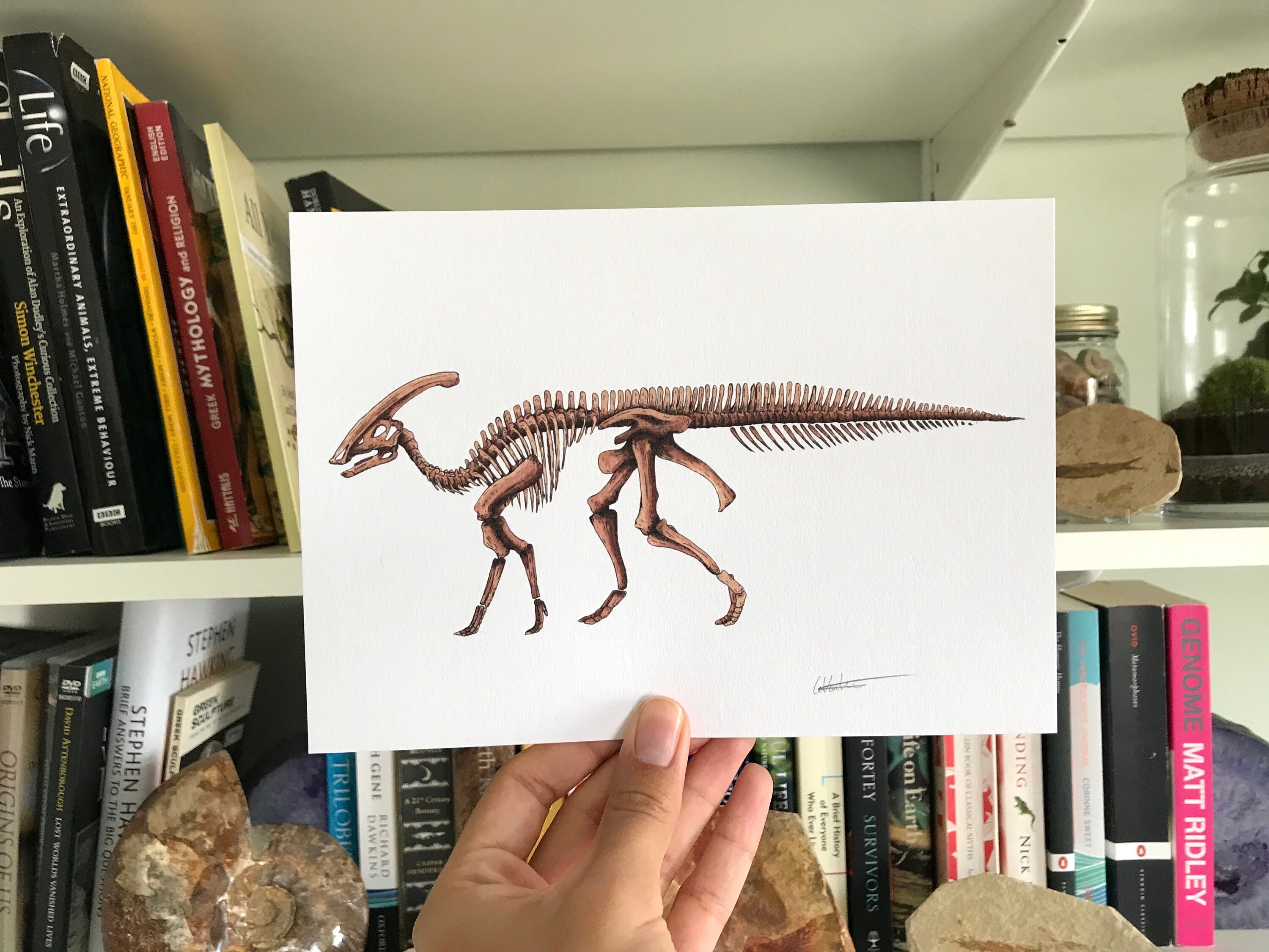 A5 Parasaurolophus skeleton illustration Drawing & Illustration Marker ...