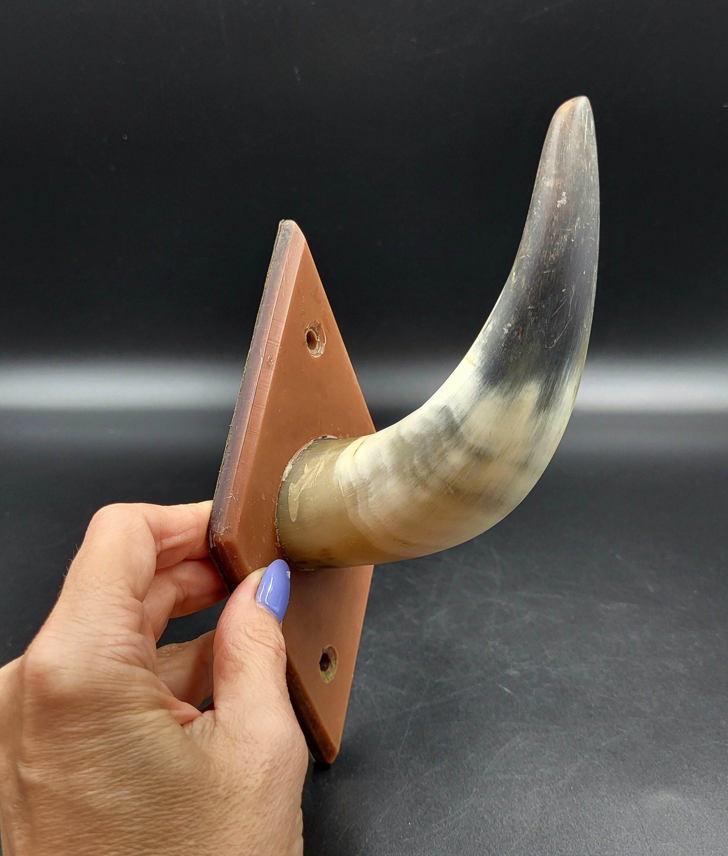 Vintage Horn Rack. Handmade Horn Hook. Cow Horn Rack for Kitchen ...