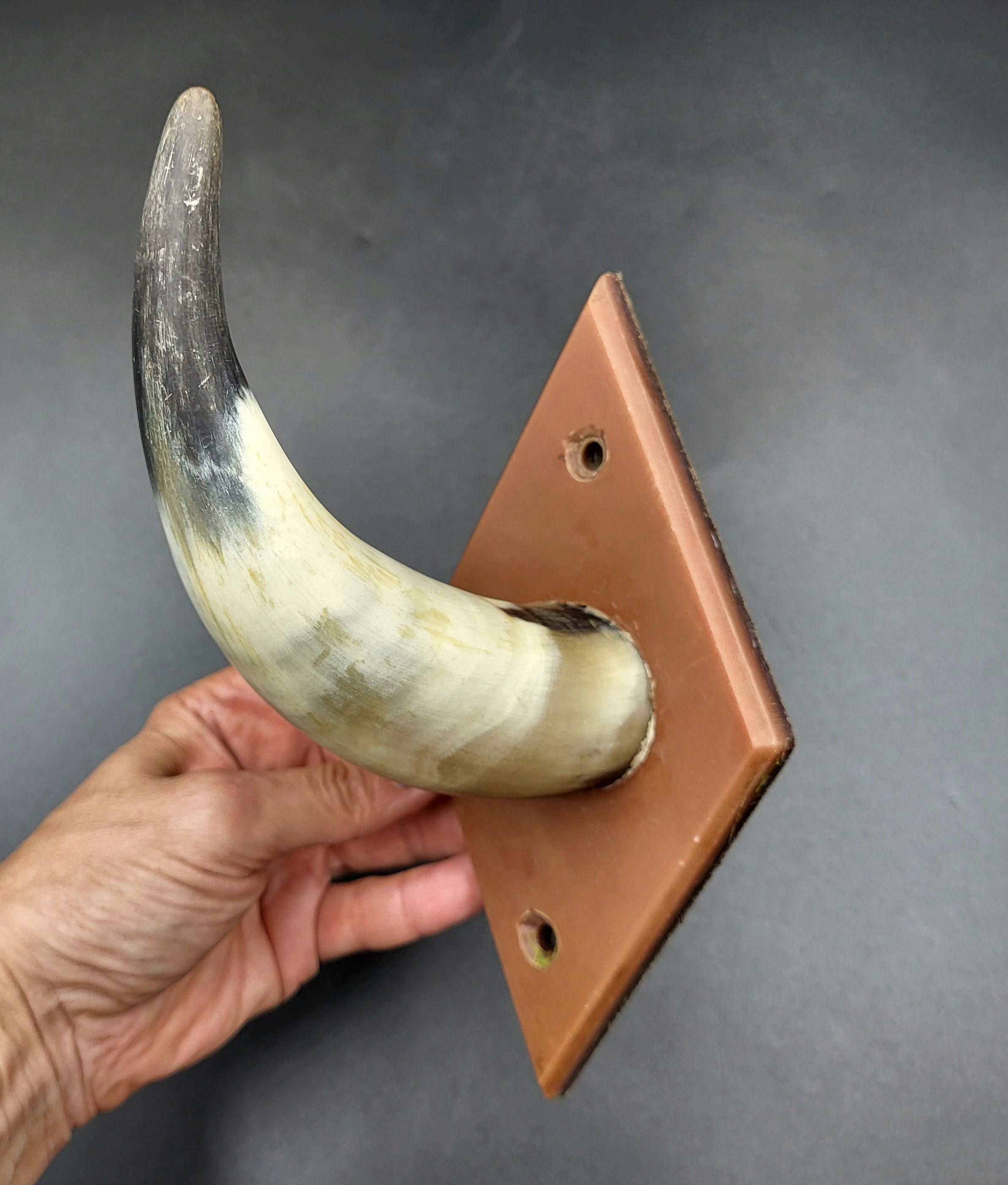 Vintage Horn Rack. Handmade Horn Hook. Cow Horn Rack for Kitchen ...