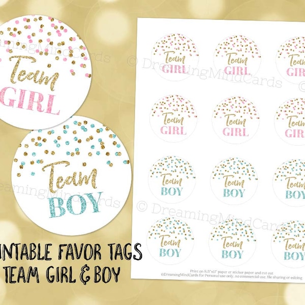 Printable Team Boy Team Girl Stickers - Etsy