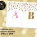 Printable Editable Text Banner Pink and Gold Confetti Digital Download ...