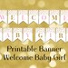 Printable Welcome Baby Girl Baby Shower Banner Light Pink Gold Confetti ...