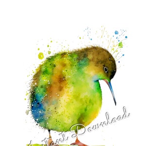 Kiwi Bird Watercolor PRINTABLE ART Kiwi Print Download Kiwi Poster ...