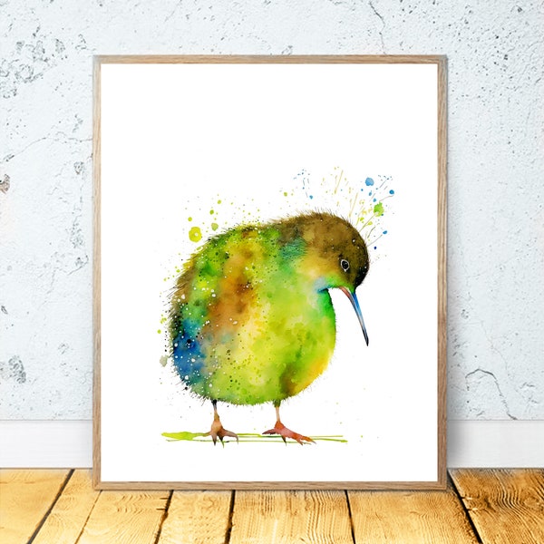 Kiwi Bird Art Print - Etsy