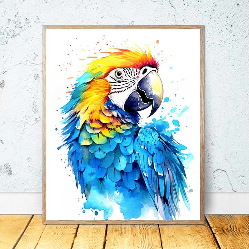 Macaw Poster - Etsy