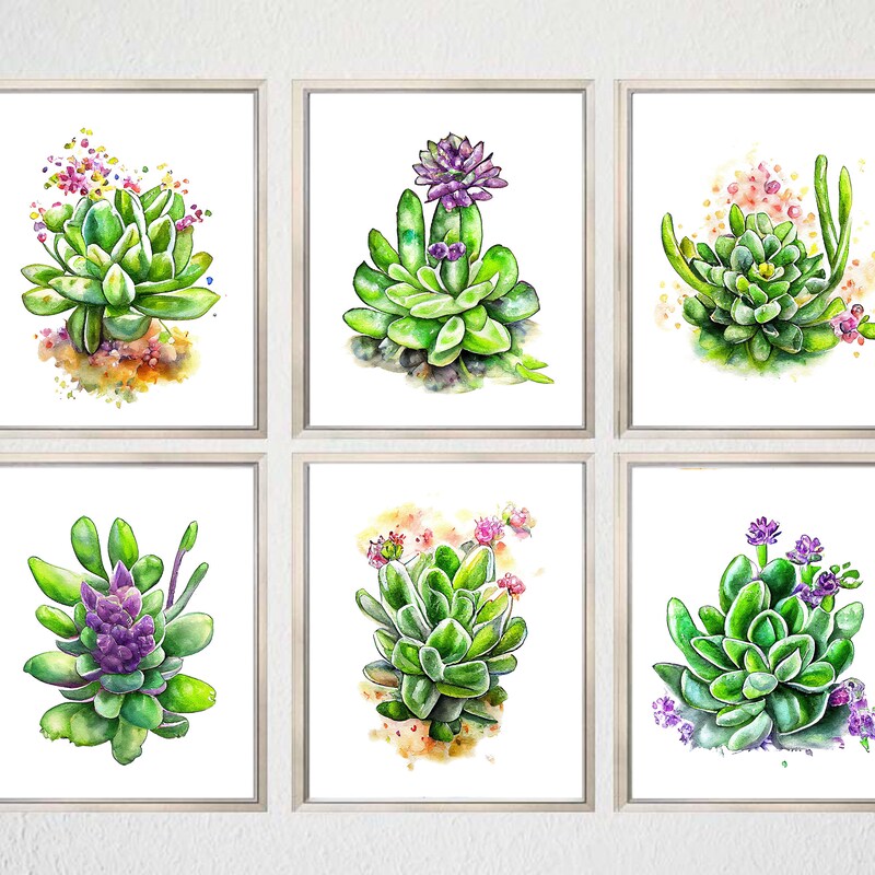 Succulent Print - Etsy