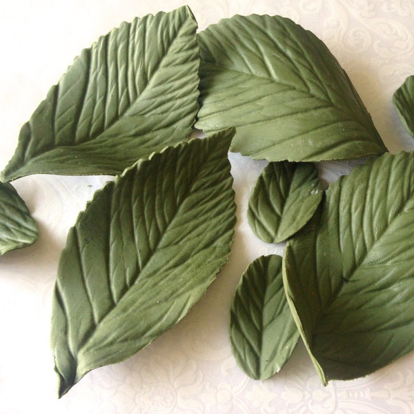 Gumpaste Leaves - Etsy