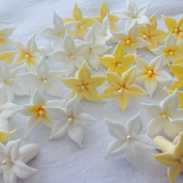 Gum Paste Blossoms - Etsy