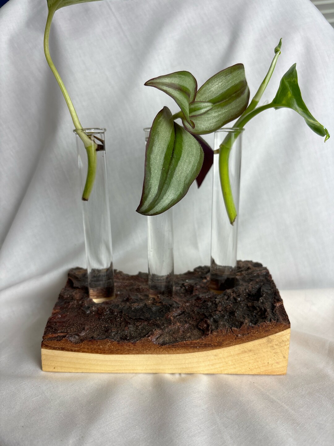 Three Tube Plant Propagation Station - Etsy