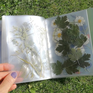 Album With 350 Psc Real Dried Pressed Floral Leaves and Blossoms, Set ...