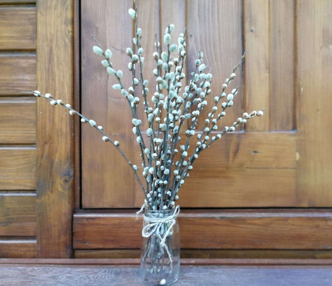20 Dried Pussy Willow Branches- Natural Flower Arrangement Twigs ...