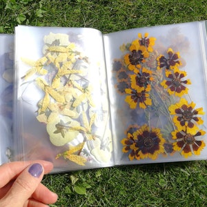Album With 350 Psc Real Dried Pressed Floral Leaves and Blossoms, Set ...
