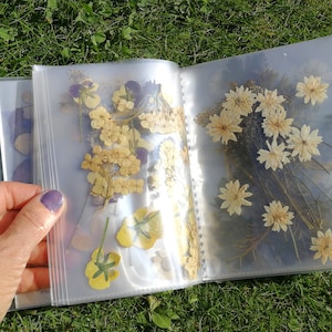 Album With 300 Psc Real Dried Pressed Floral Leaves and Blossoms, Set ...