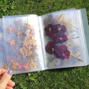 Album With 350 Psc Real Dried Pressed Floral Leaves and Blossoms, Set ...