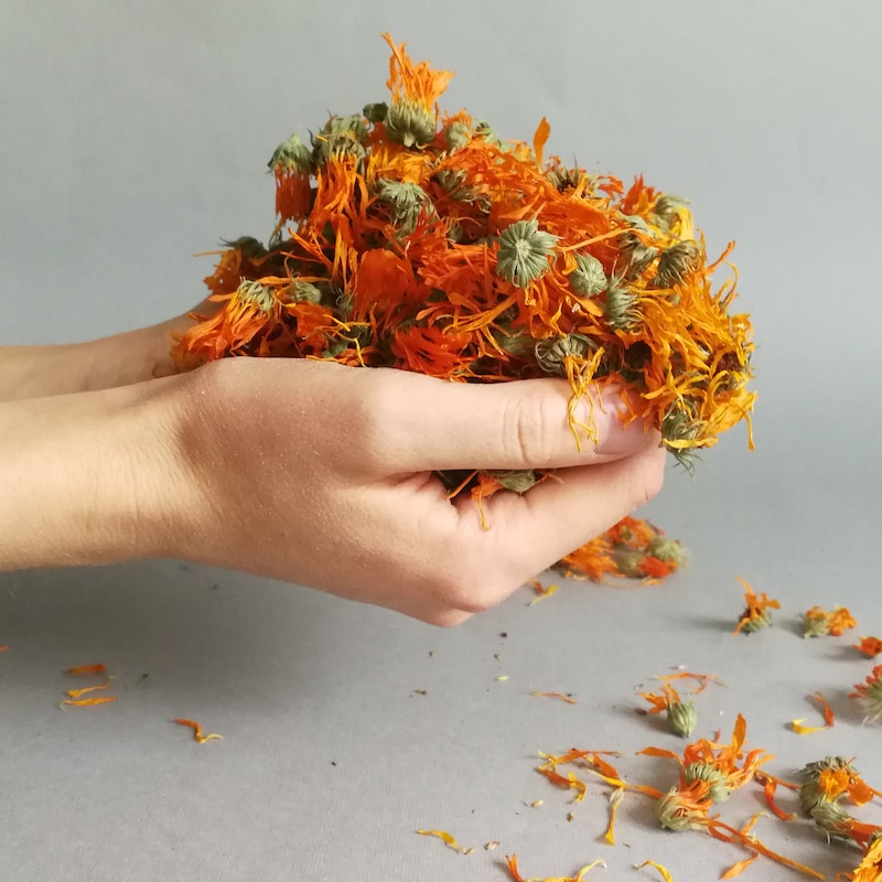 Organic Confetti - Etsy