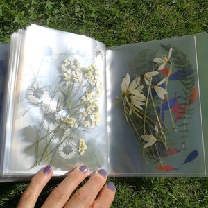 Album With 350 Psc Real Dried Pressed Floral Leaves and Blossoms, Set ...