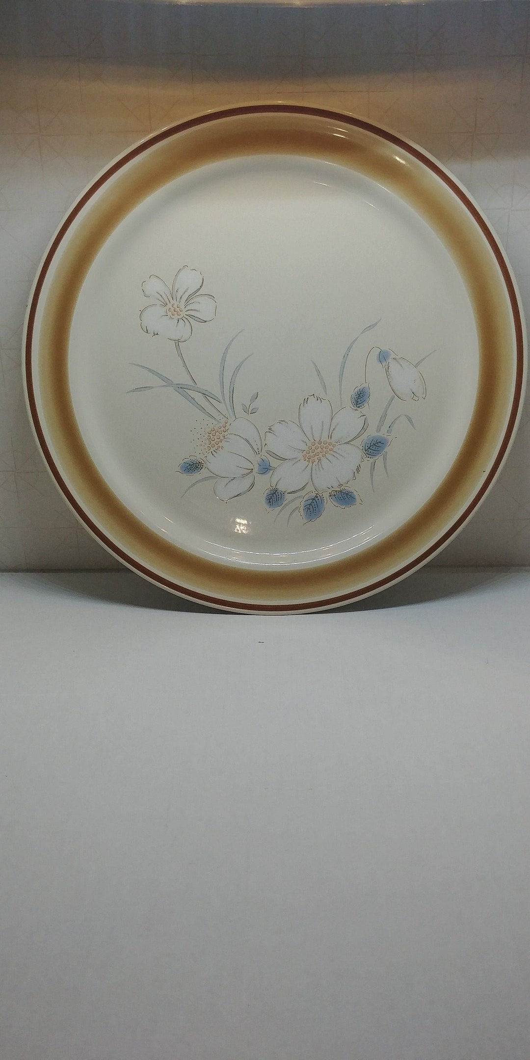 Water Colors Hearthside Dinner Plate - Etsy