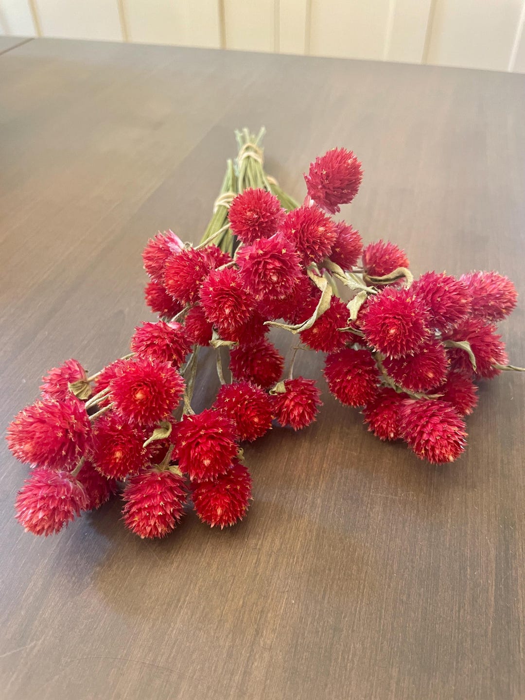 Dried Red Gomphrena/globe Amaranth. Strawberry Fields Gomphrena for ...
