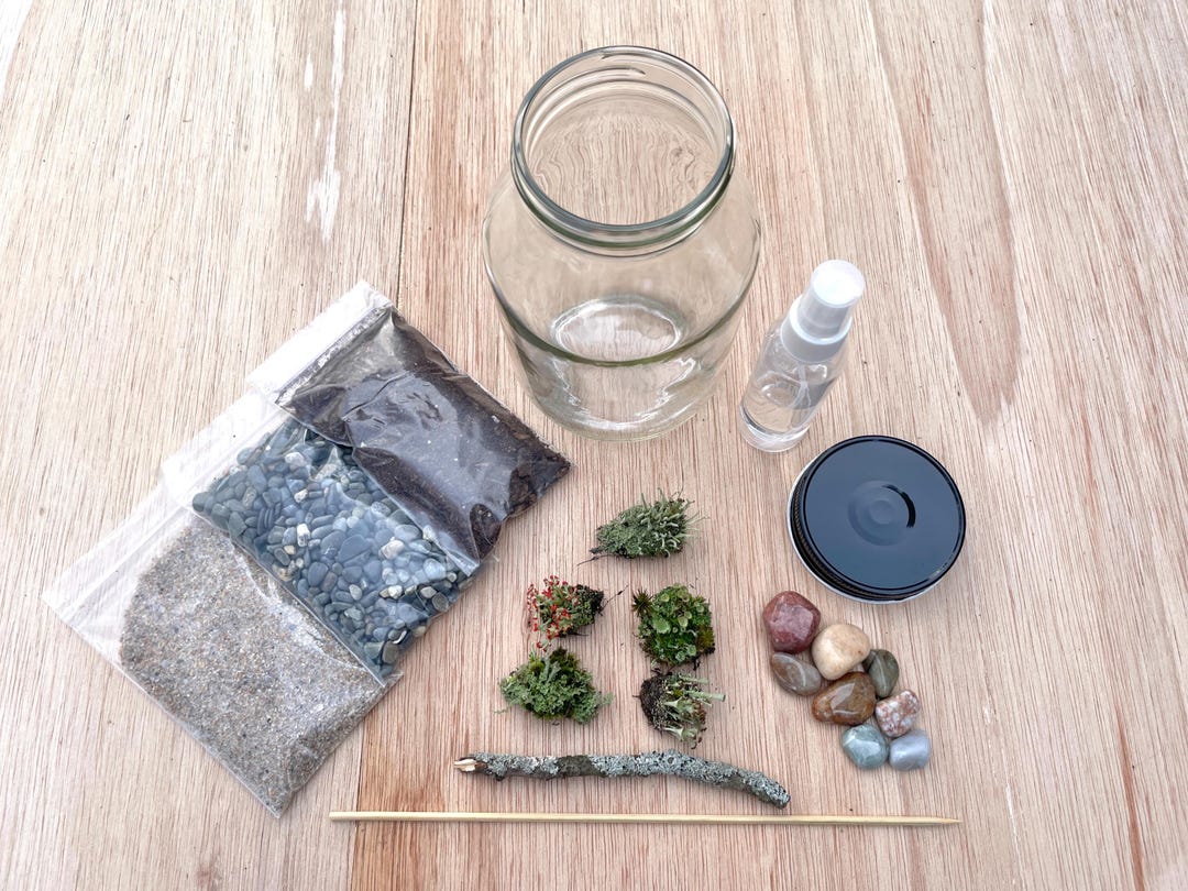 DIY Lichen Terrarium Kit. 11 Piece Round Glass Jar Terrarium DIY Kit ...