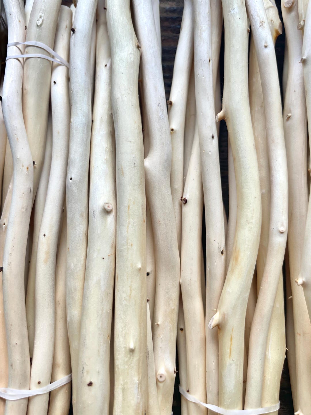 White Cedar Sticks - 10 White Cedar Wood Branches Without Bark for ...