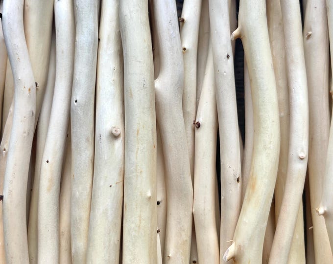 White Cedar Sticks - 10 White Cedar Wood Branches Without Bark for ...
