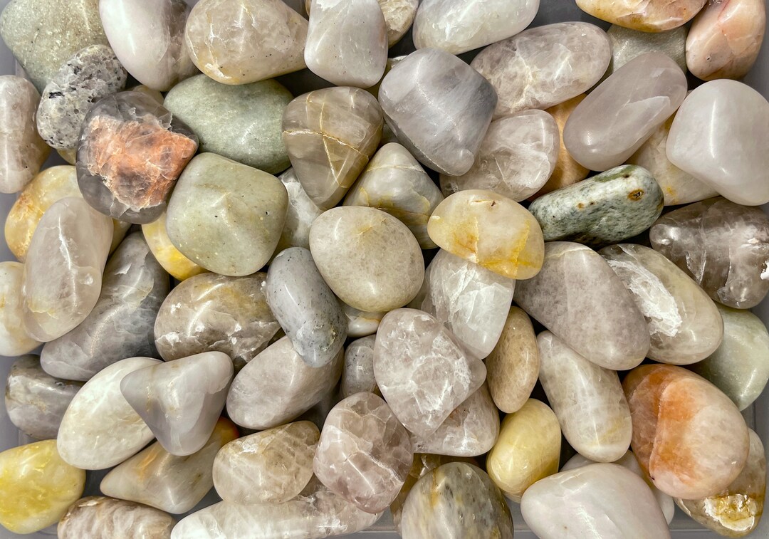 Decorative Stones. Medium Stones for Terrarium, Aquarium, Bonsai ...