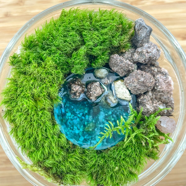 Fairy Garden Pond - Etsy